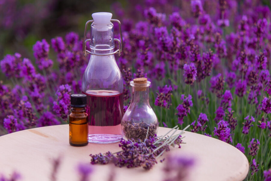 Recipe: homemade lavender oil for all-purpose use | City Magazine